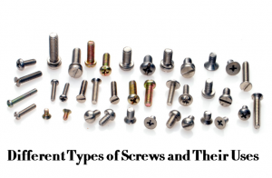 Different Types of Screws and Their Uses - Understanding Wood Screws ...